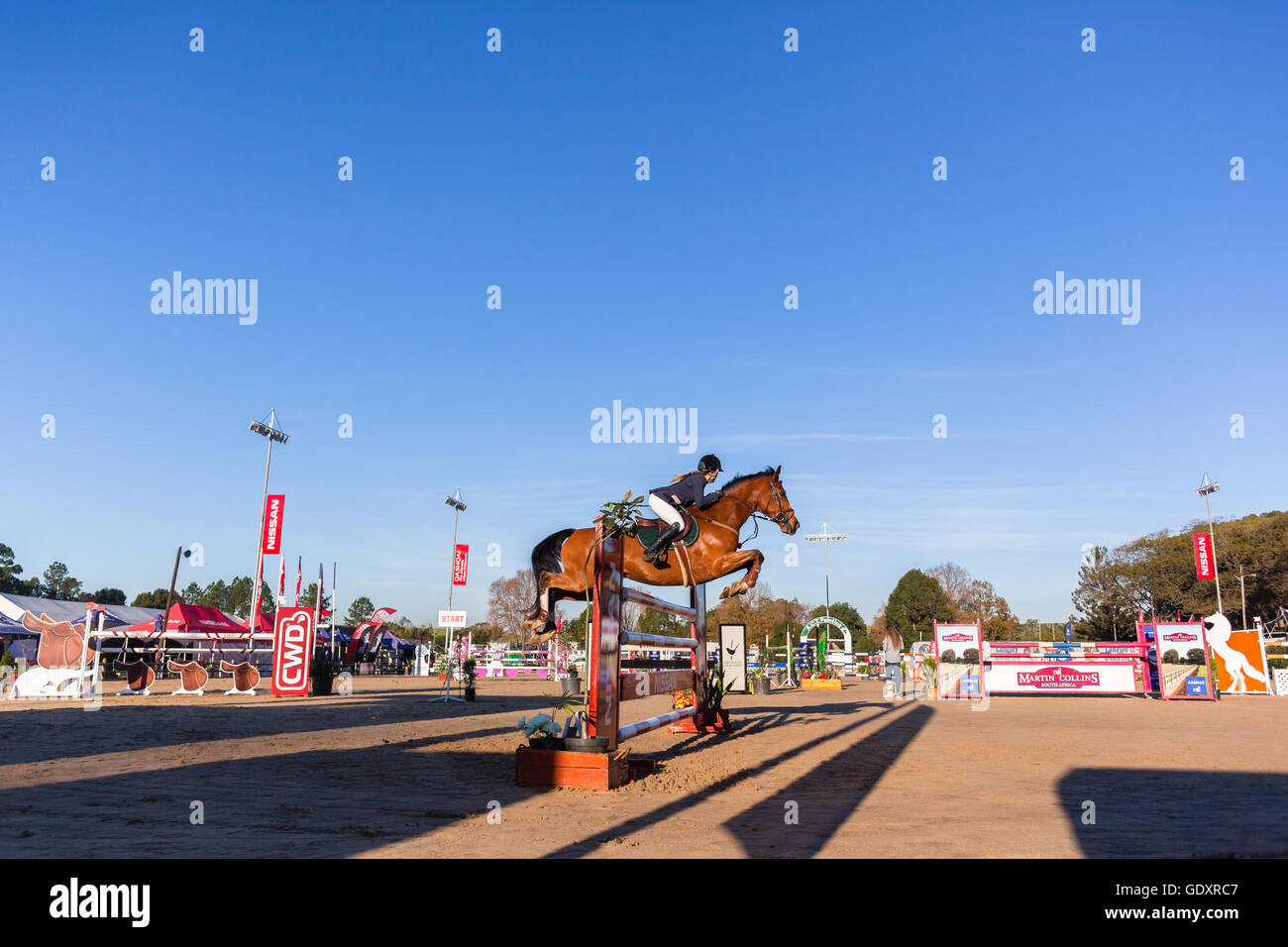 Rider horse equestrian show jumping action in arena Stock Photo - Alamy