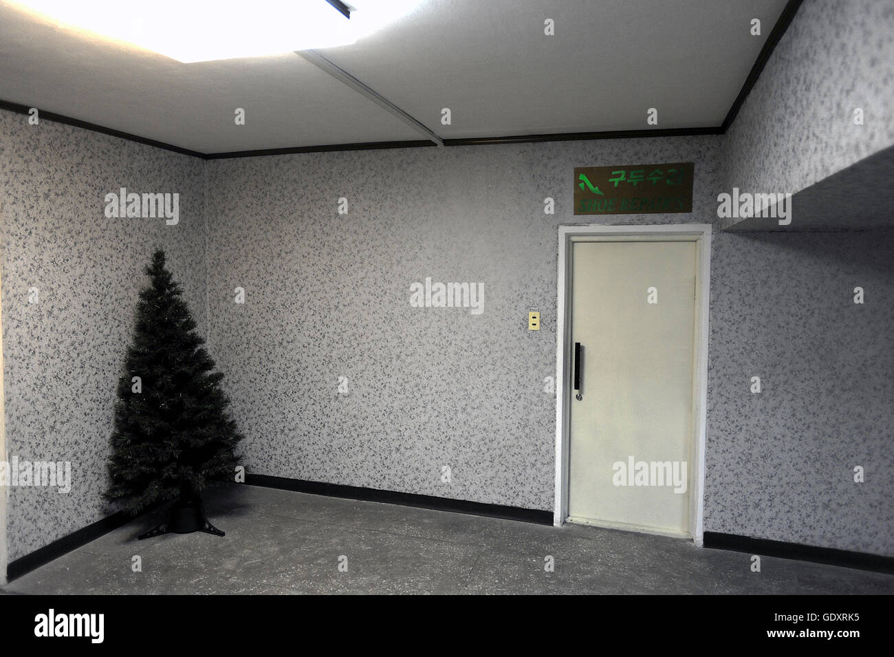 Korea fir hi-res stock photography and images - Alamy