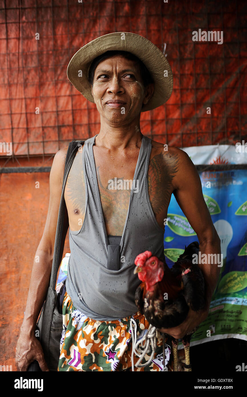 MYANMAR. Yangon. 2014. Man with rooster Stock Photo - Alamy