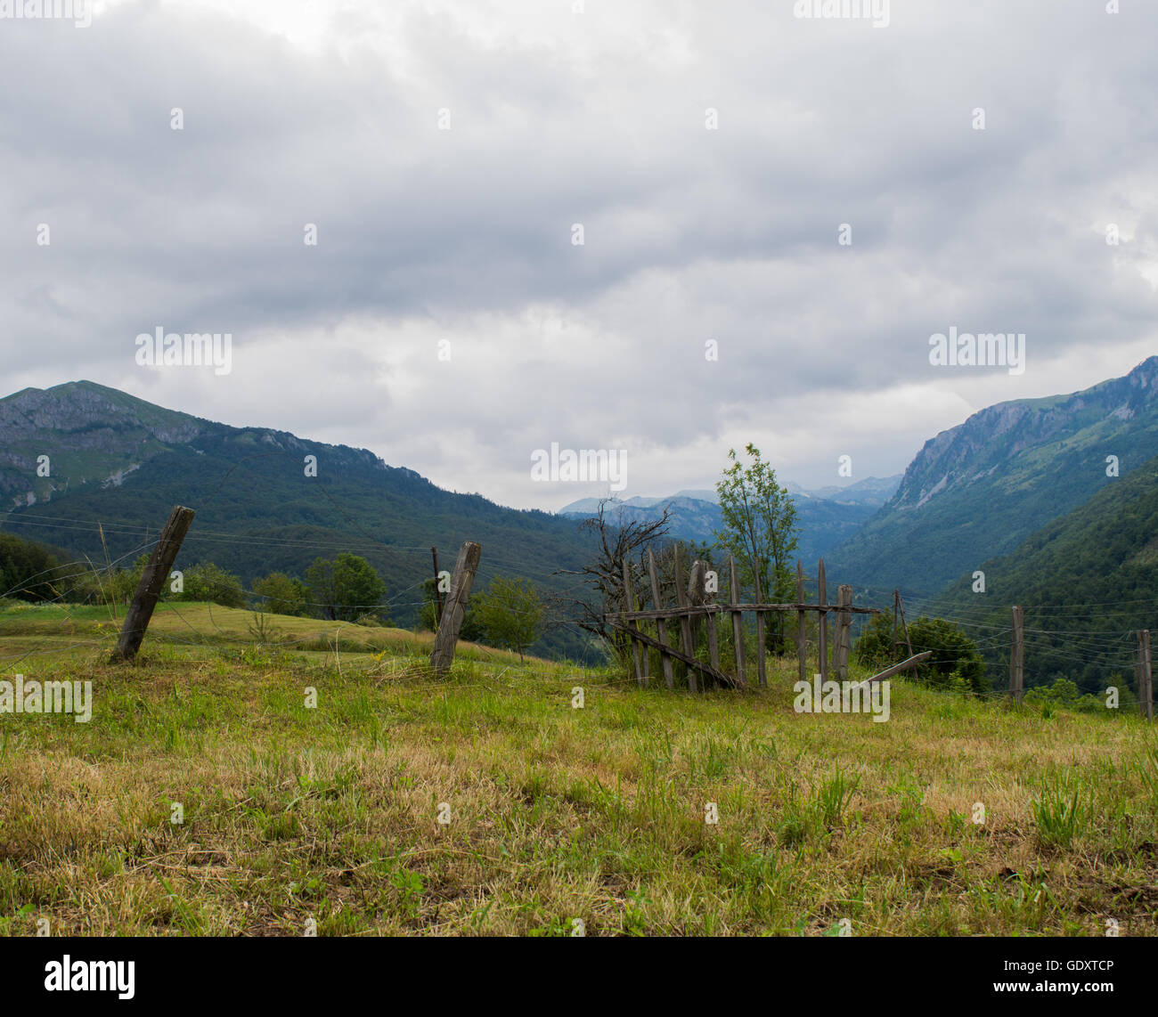 Open gate with view of field and trees hi-res stock photography and ...