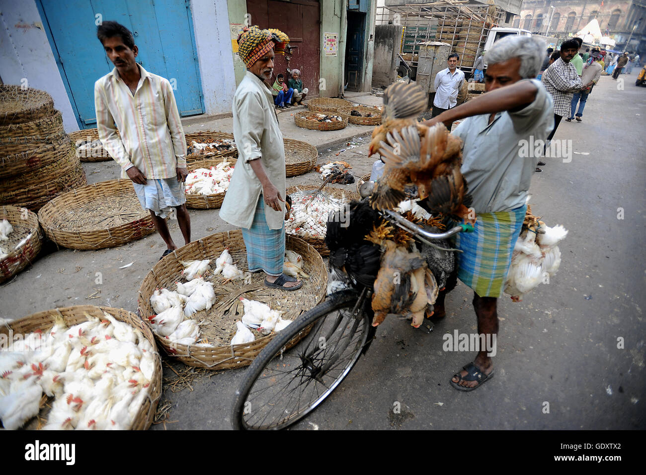 India chicken transport hi-res stock photography and images - Alamy