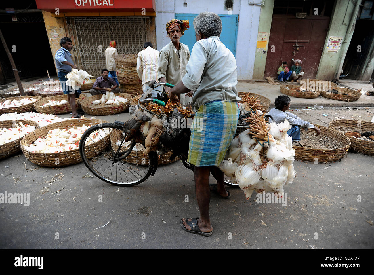 India chicken transport hi-res stock photography and images - Alamy