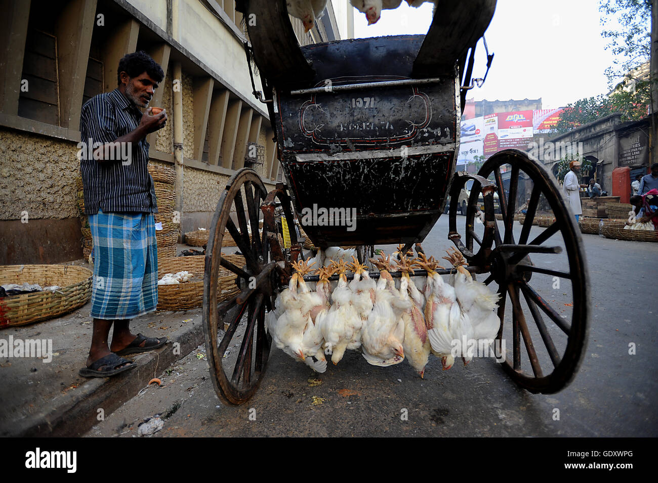 INDIA. Kolkata. 2011. Hen rickshaw Stock Photo - Alamy