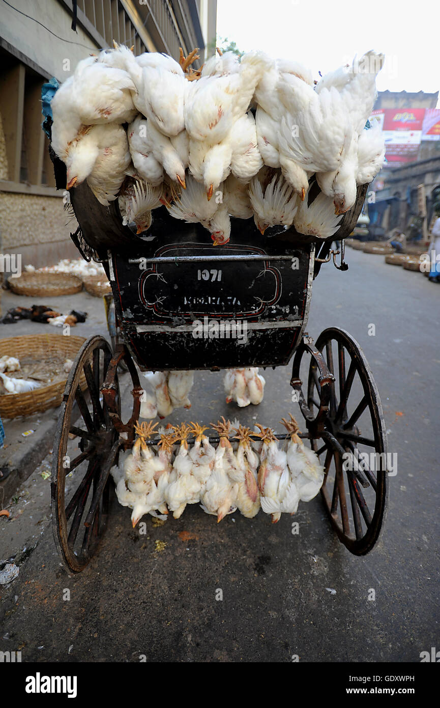 India rickshaw 1900's hi-res stock photography and images - Alamy