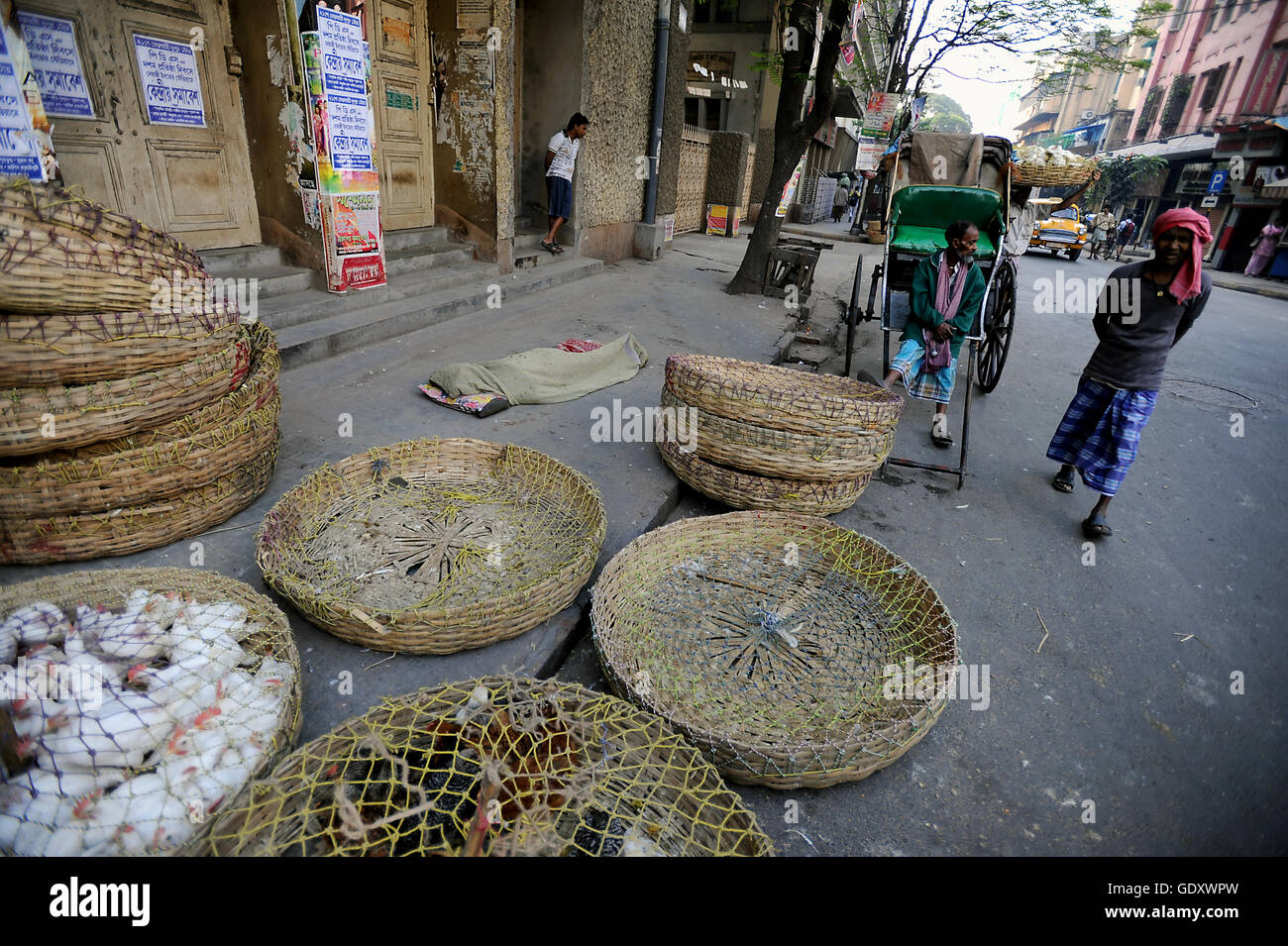 India chicken transport hi-res stock photography and images - Alamy