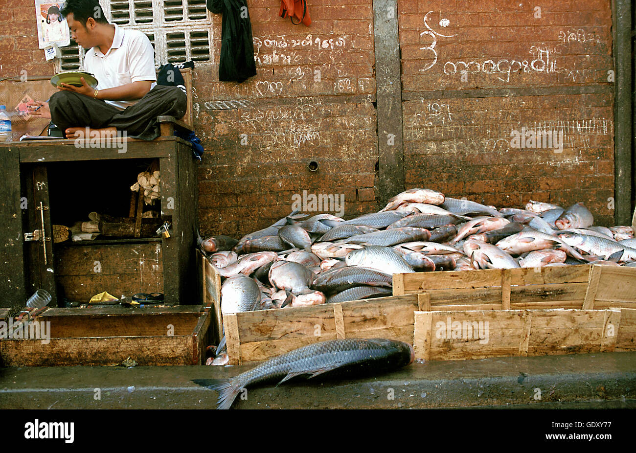 2008 at the san pya fish market in yangon hi-res stock photography and ...