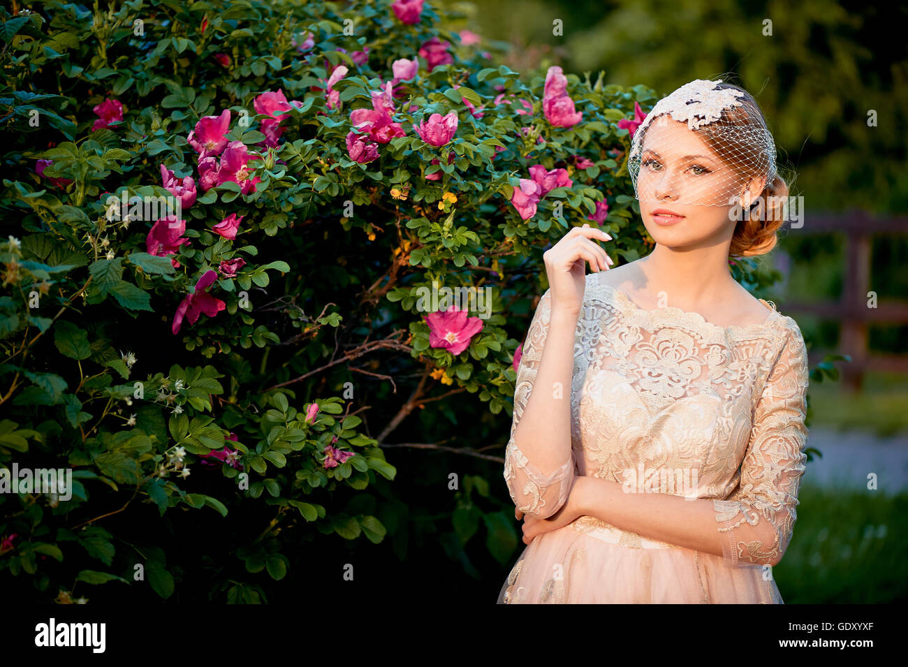 Pretty tender blonde in a lace cream dress against the background of ...