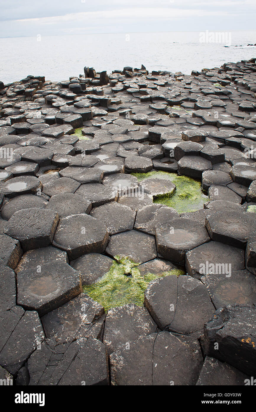 The Giant's Causeway is an area of about 40,000 interlocking basalt ...
