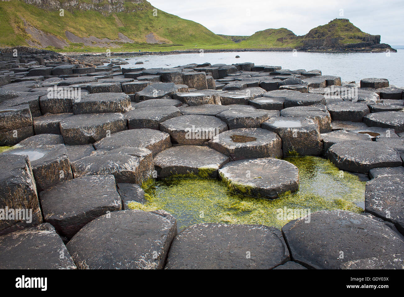 The Giant's Causeway is an area of about 40,000 interlocking basalt ...