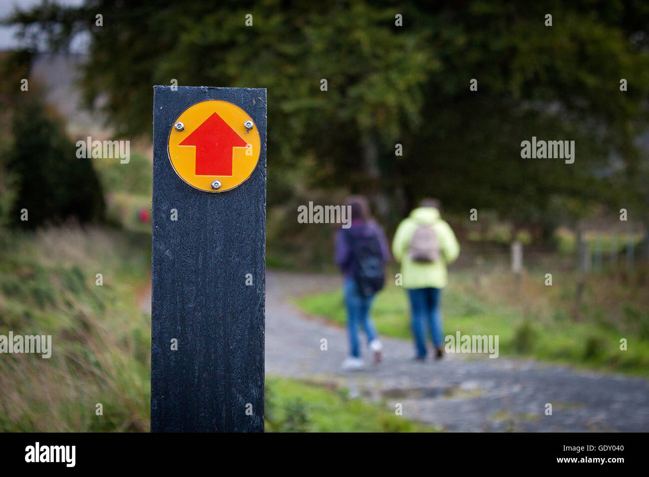 Wickl hi-res stock photography and images - Alamy