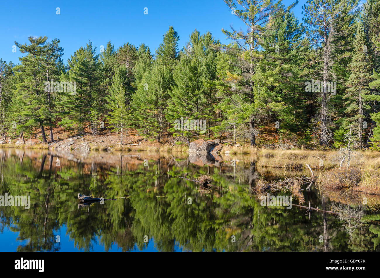 Lake in Algonquin Park during the fall season Stock Photo - Alamy