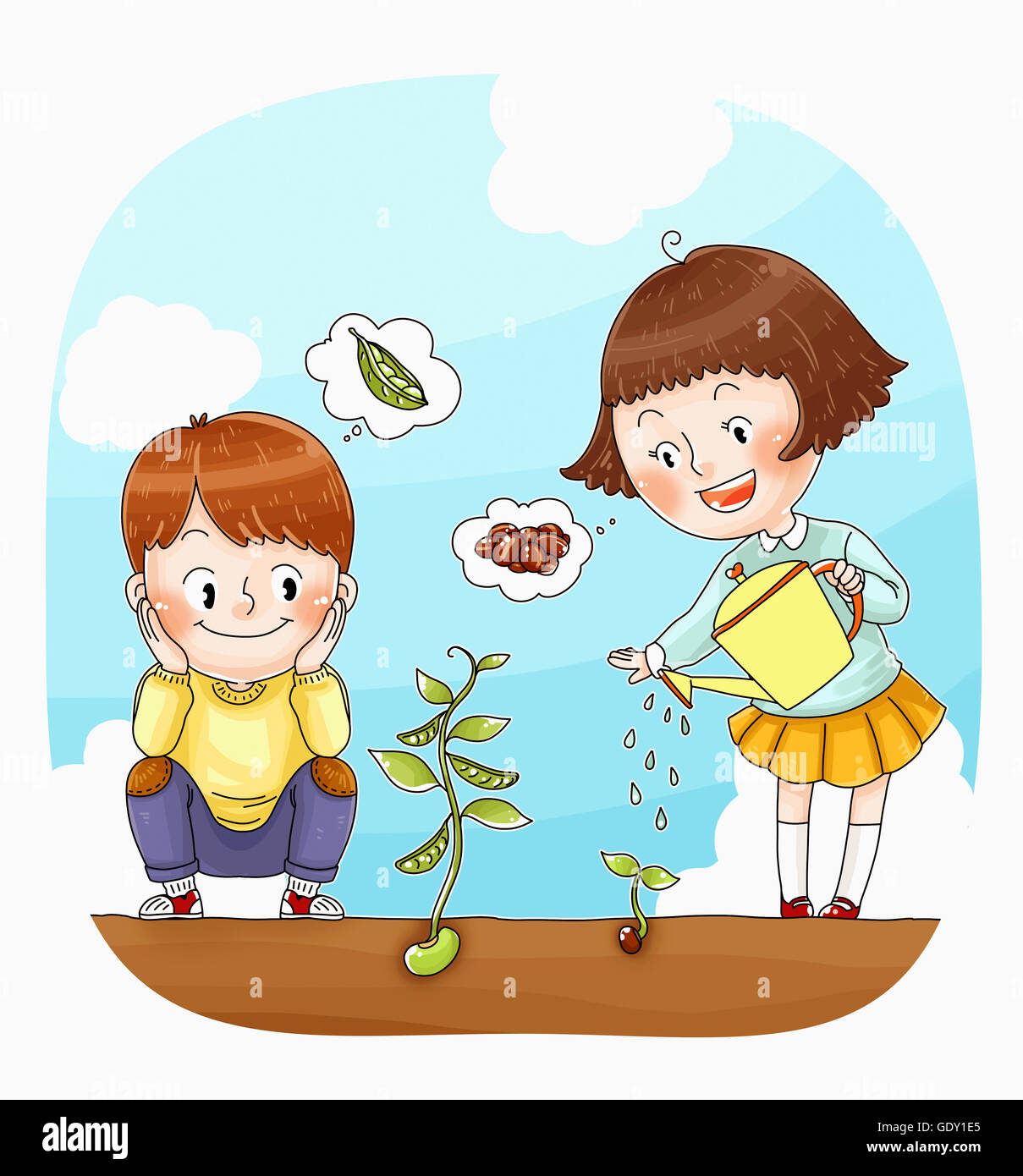 Smiling man and woman planting and watering beans and adzuki beans ...