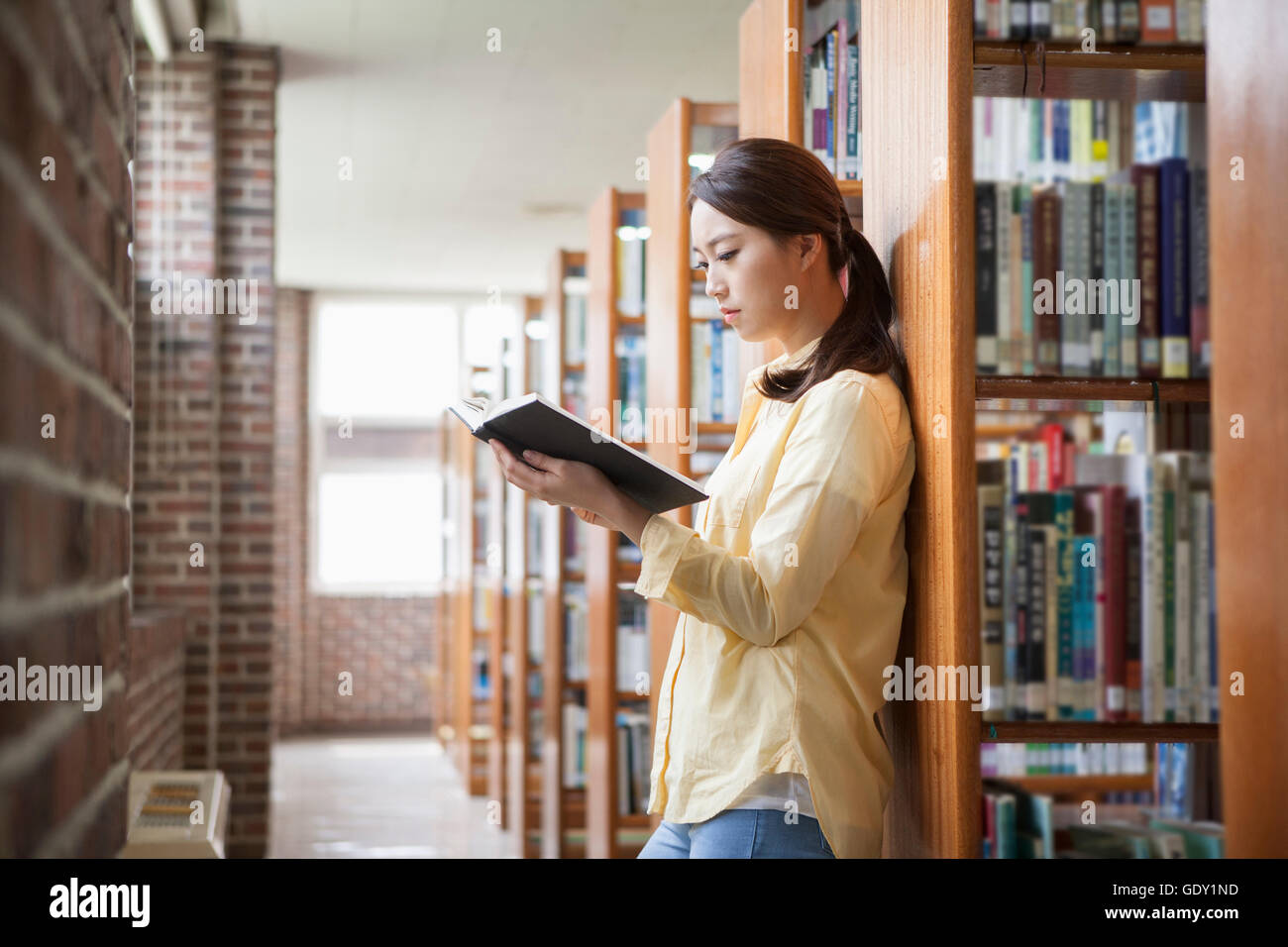 Side view of young woman standing reading a book at library Stock Photo ...