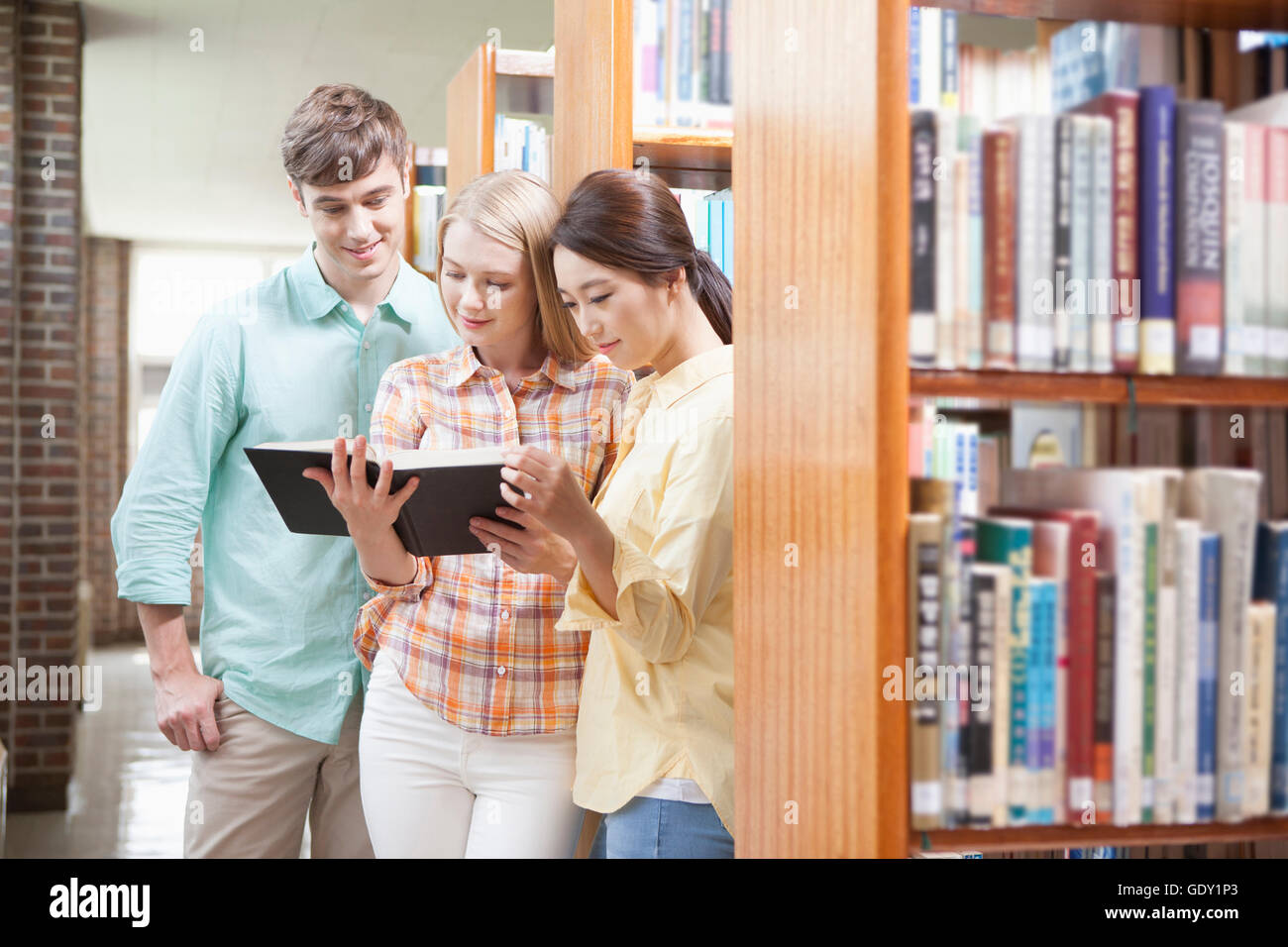 Three college students sharing a book at library looking down Stock ...