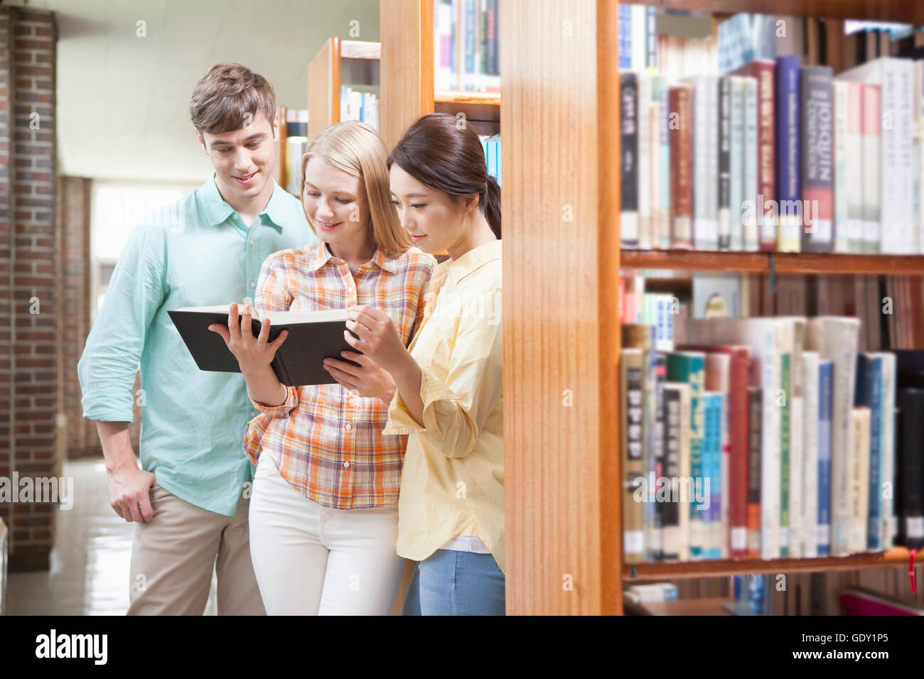 Three college students sharing a book at library looking down Stock ...