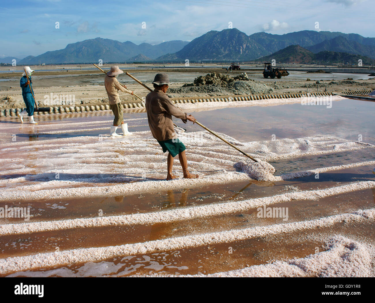 NINH THUAN, VIET NAM, Asian farmer working on salt plantation on day ...