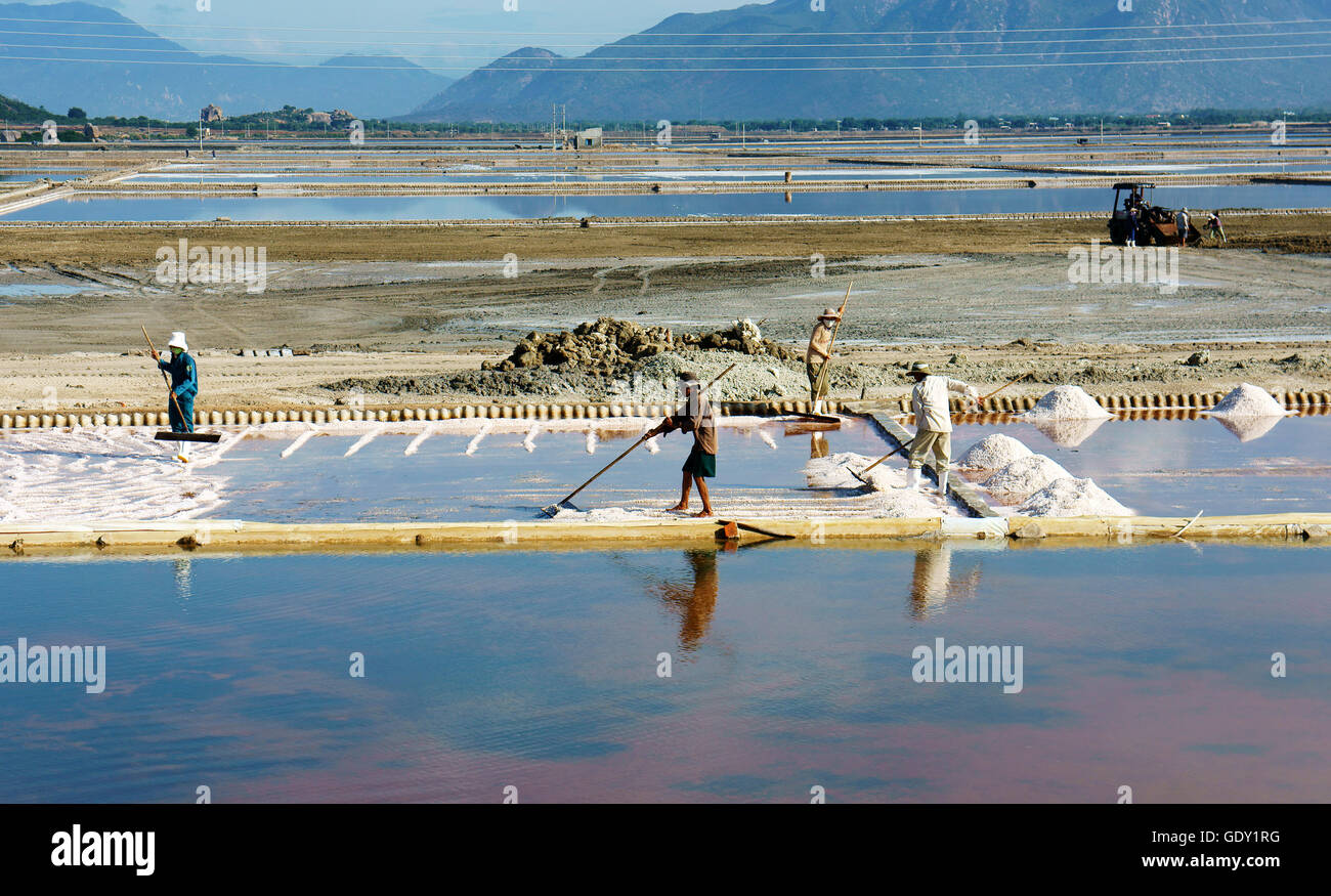 NINH THUAN, VIET NAM, Asian farmer working on salt plantation on day ...