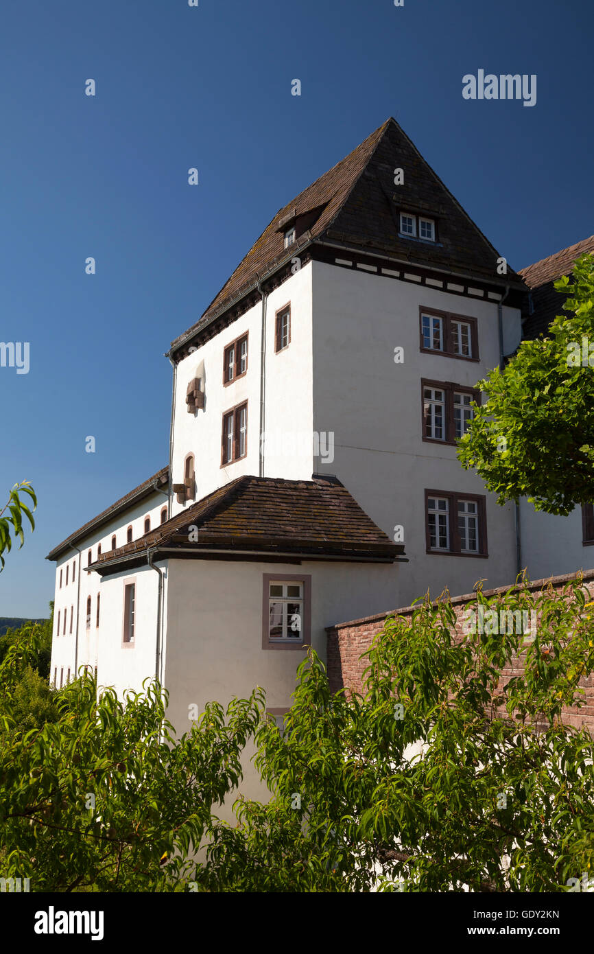 geography / travel, Germany, Lower Saxony, Fürstenberg, castles ...