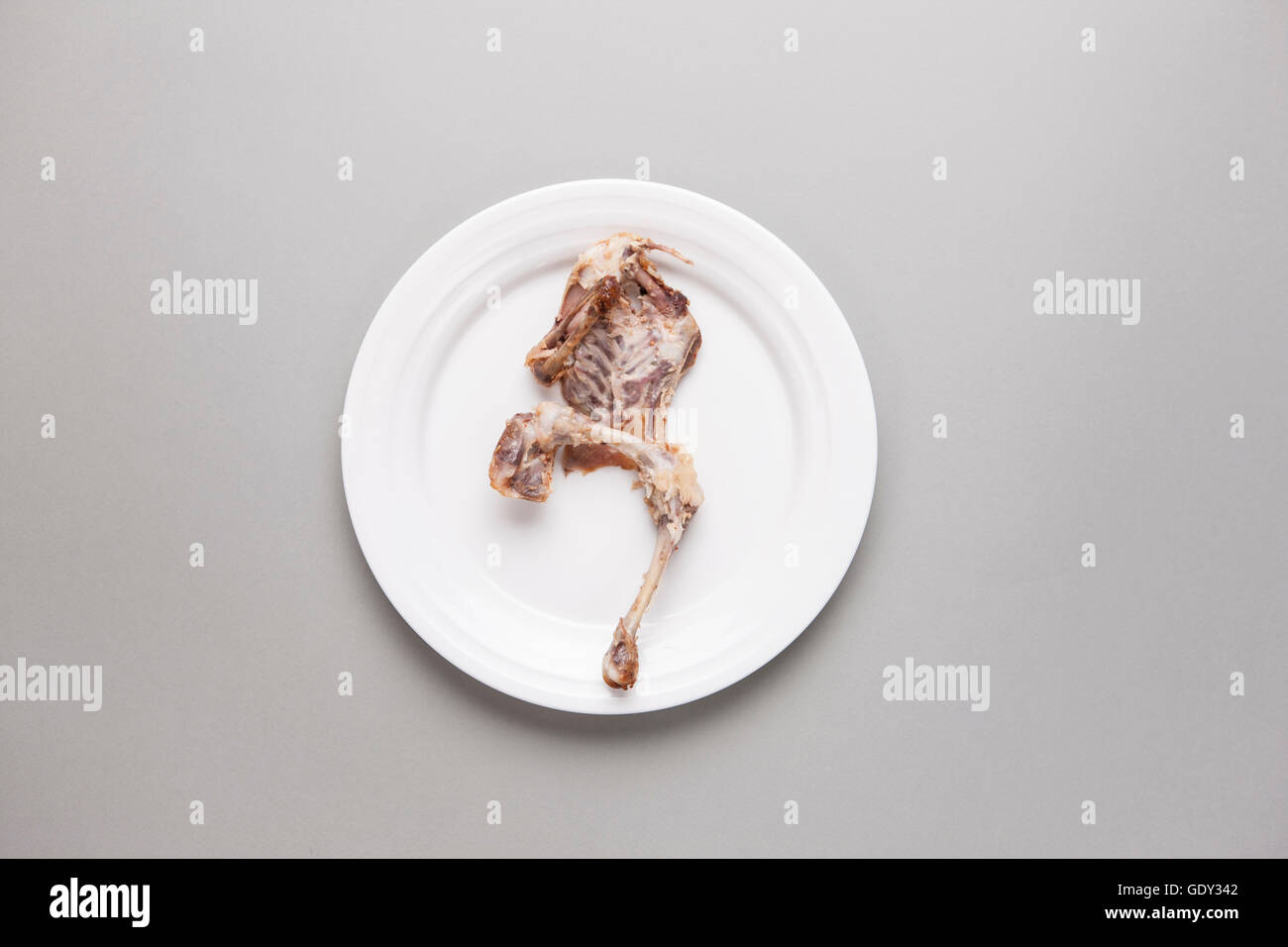 Chicken bone hi-res stock photography and images - Alamy