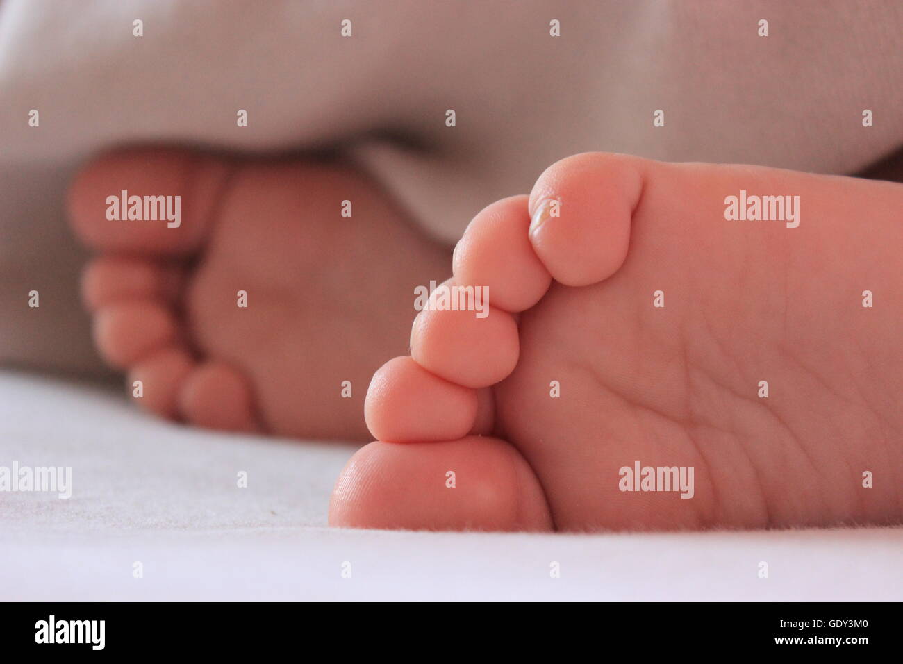 Closeup of small baby feet Stock Photo - Alamy