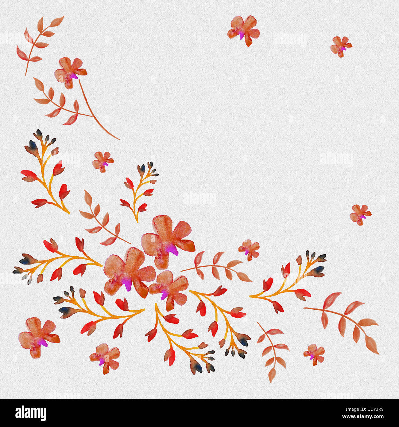 Calligraphic flowers and plants Stock Photo - Alamy