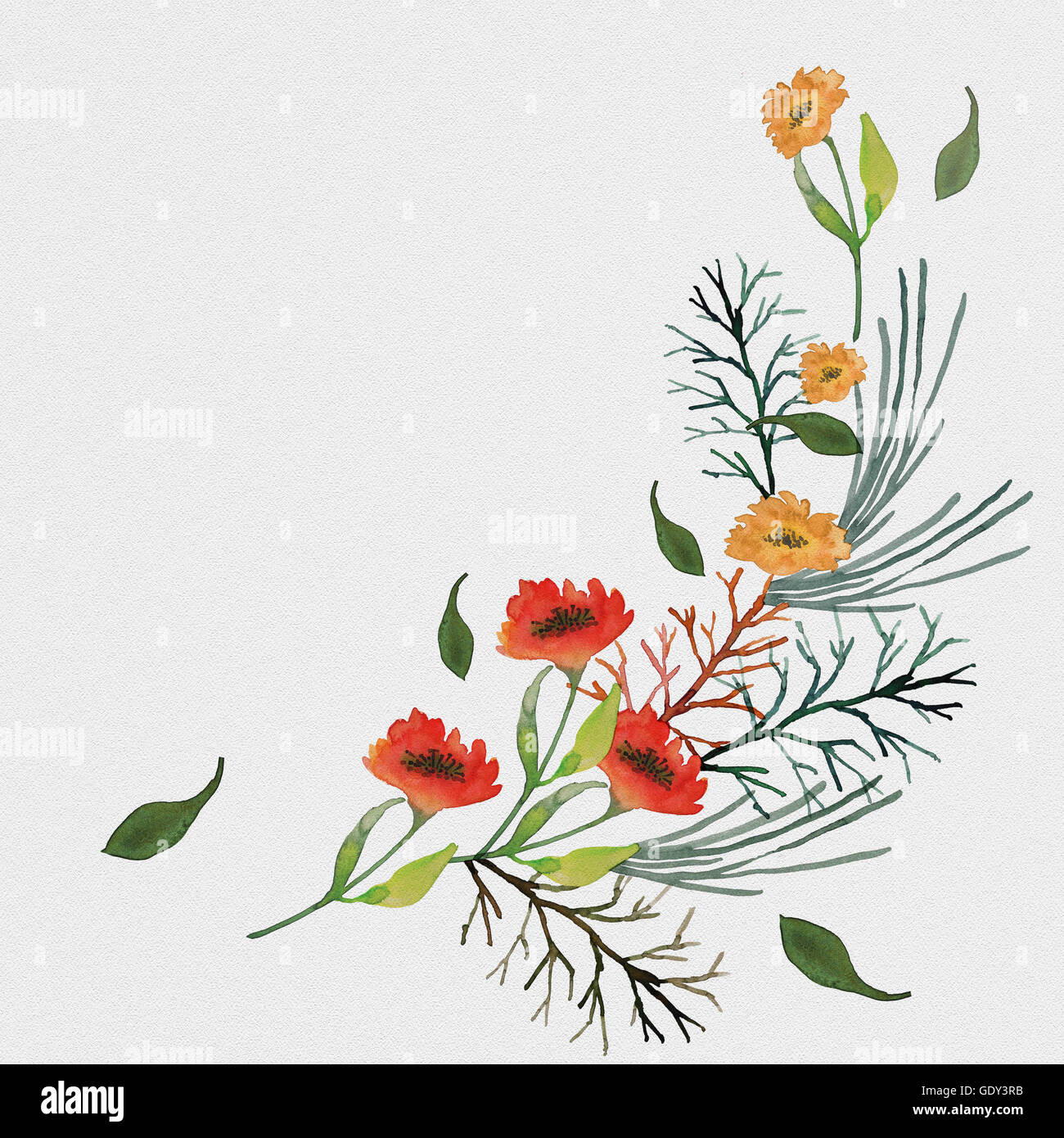 Calligraphic flowers and plants Stock Photo - Alamy