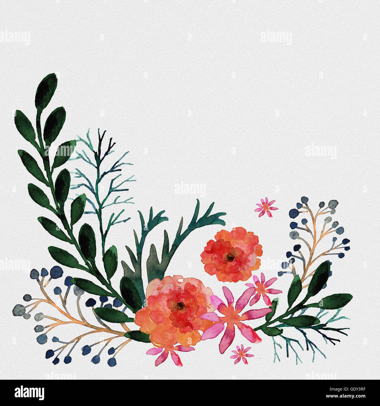 Calligraphic plants and flowers Stock Photo - Alamy