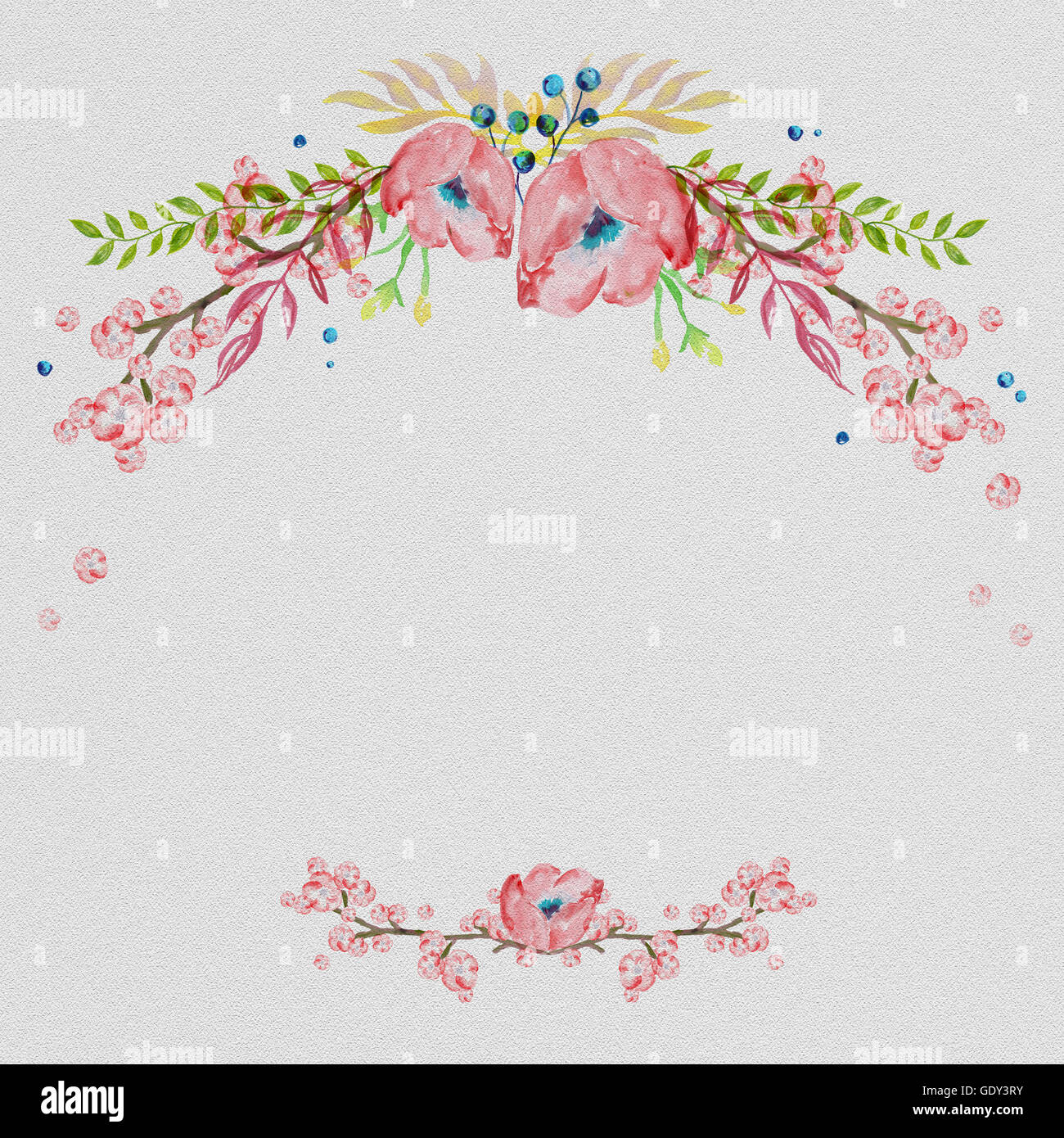 Calligraphic flowers and plants Stock Photo - Alamy