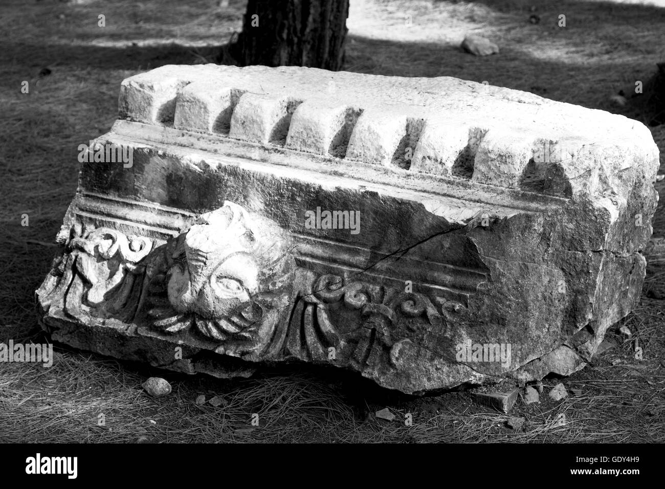 in phaselis temple turkey asia old ruined column and destroyed stone ...