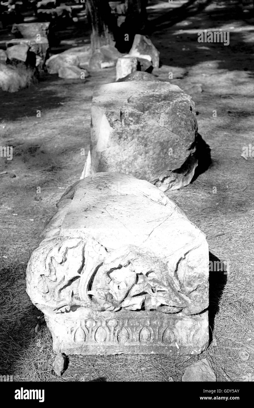in phaselis temple turkey asia old ruined column and destroyed stone ...