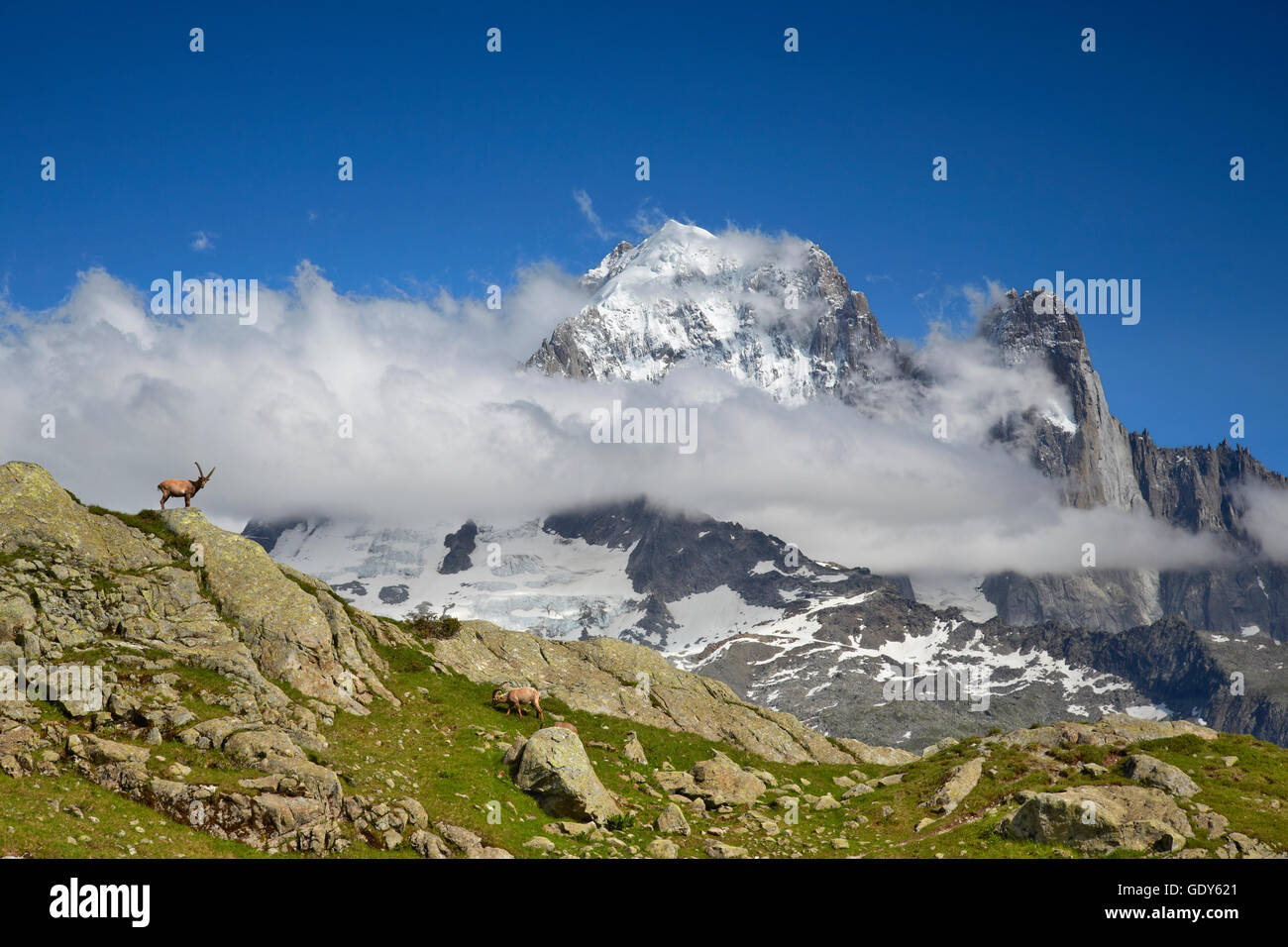 Chamonix palace hi-res stock photography and images - Alamy