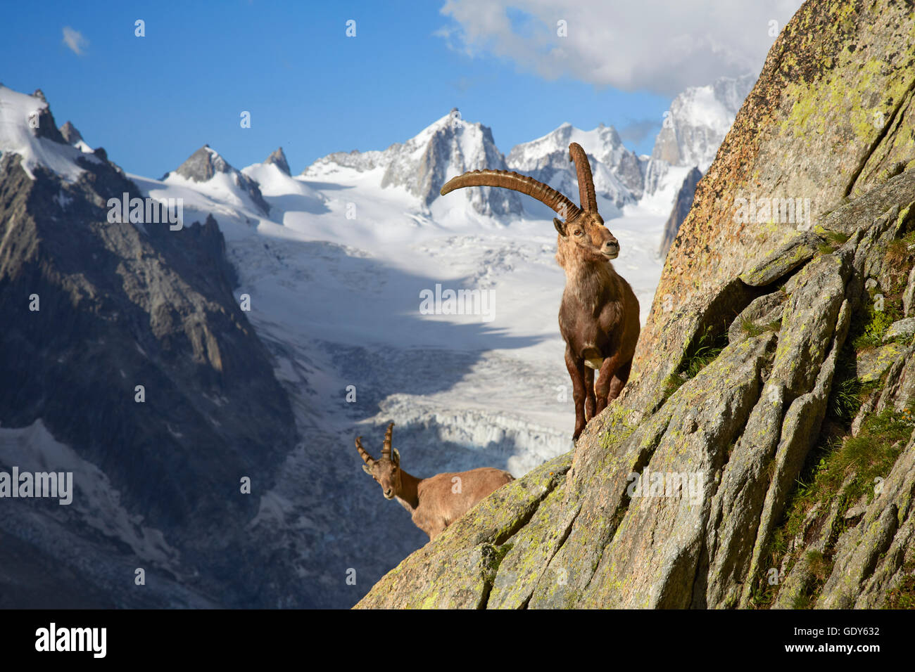 Chamonix palace hi-res stock photography and images - Alamy