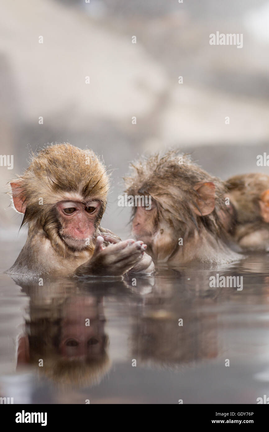 Hot spring bath hi-res stock photography and images - Alamy