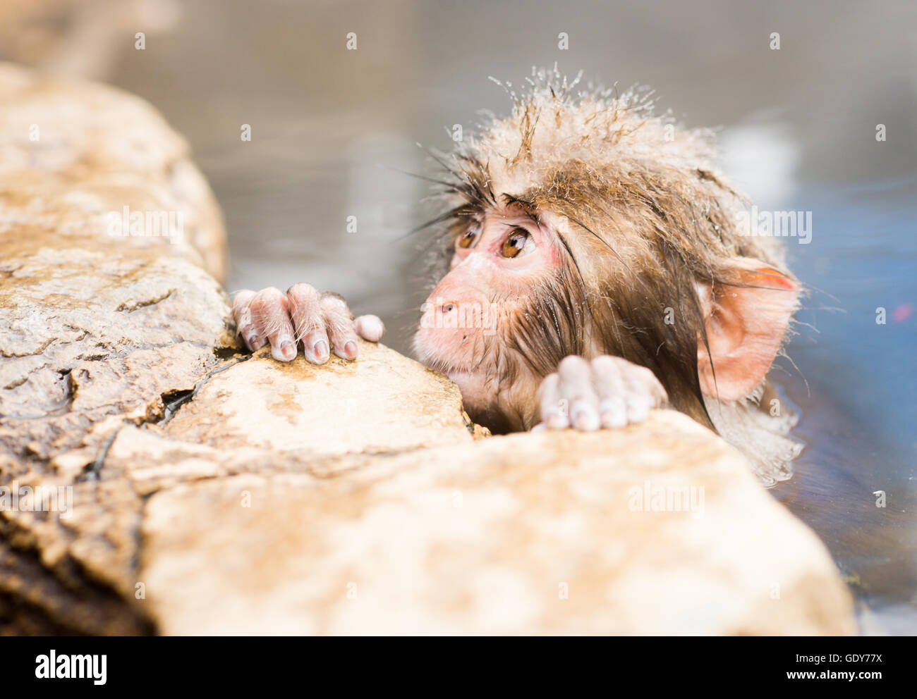 Japanese hot bath hi-res stock photography and images - Alamy