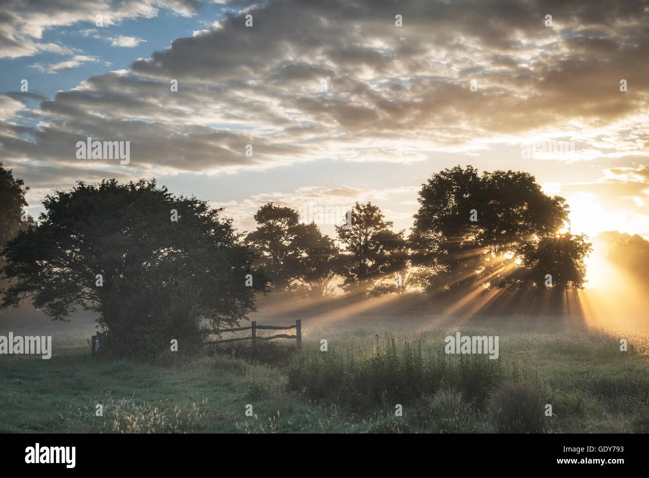 Stunning vibrant Summer sunrise over English countryside landscape ...