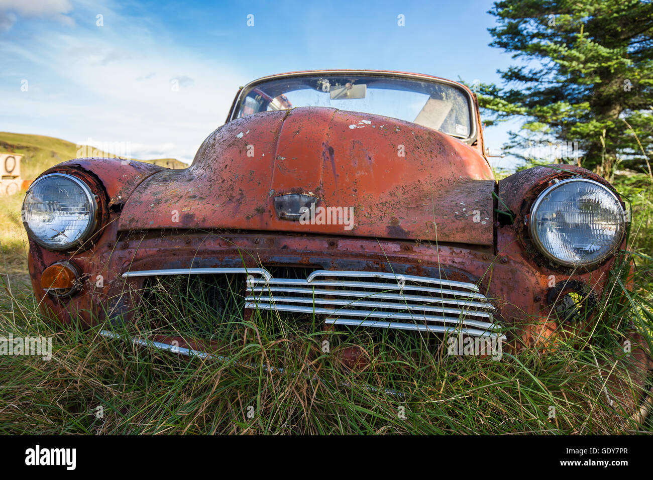 Front shot of a classic old car very run down and being overgrown with ...
