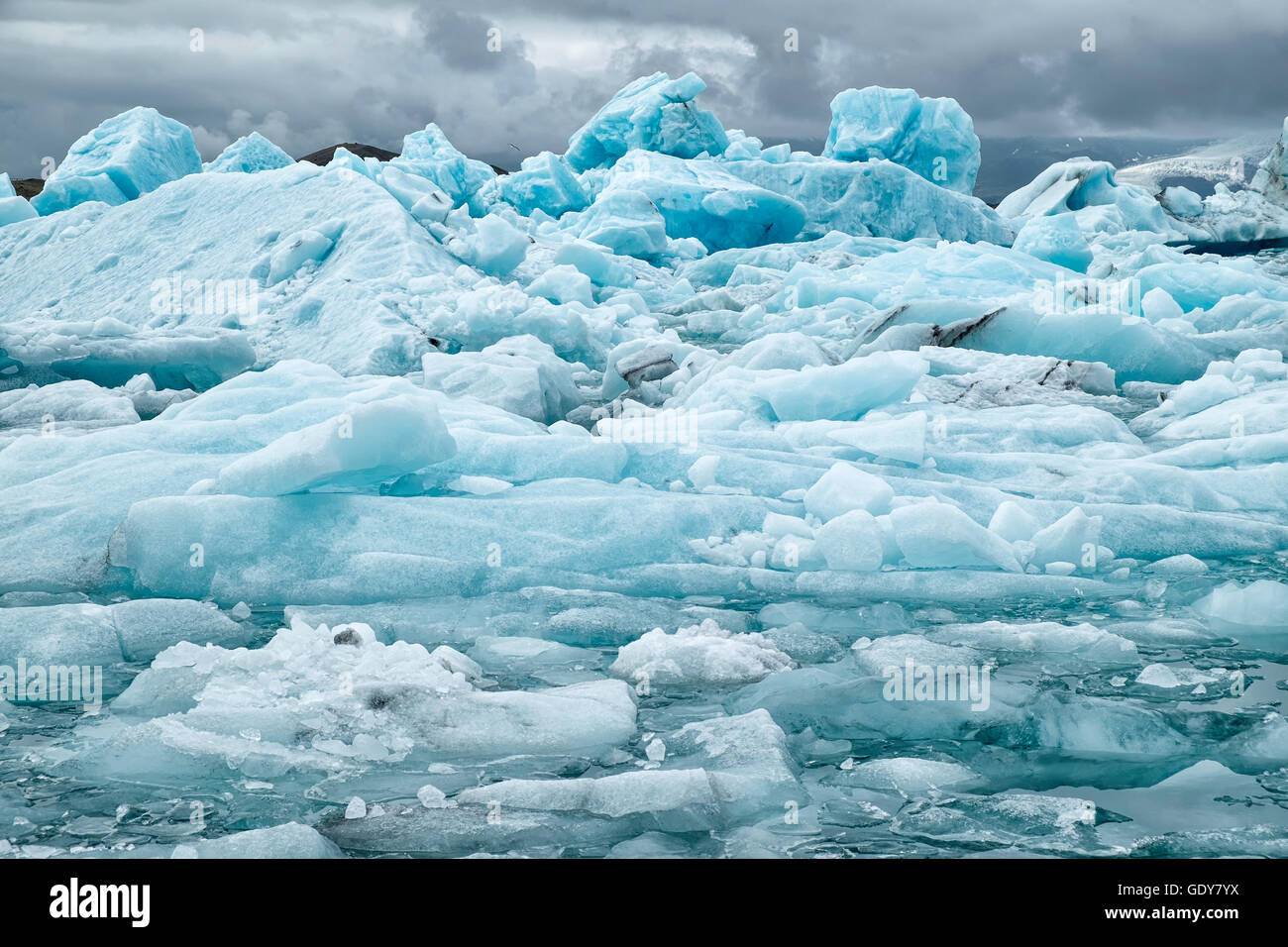 Blue icebergs floating the glacial lagoon in southeast Iceland in ...