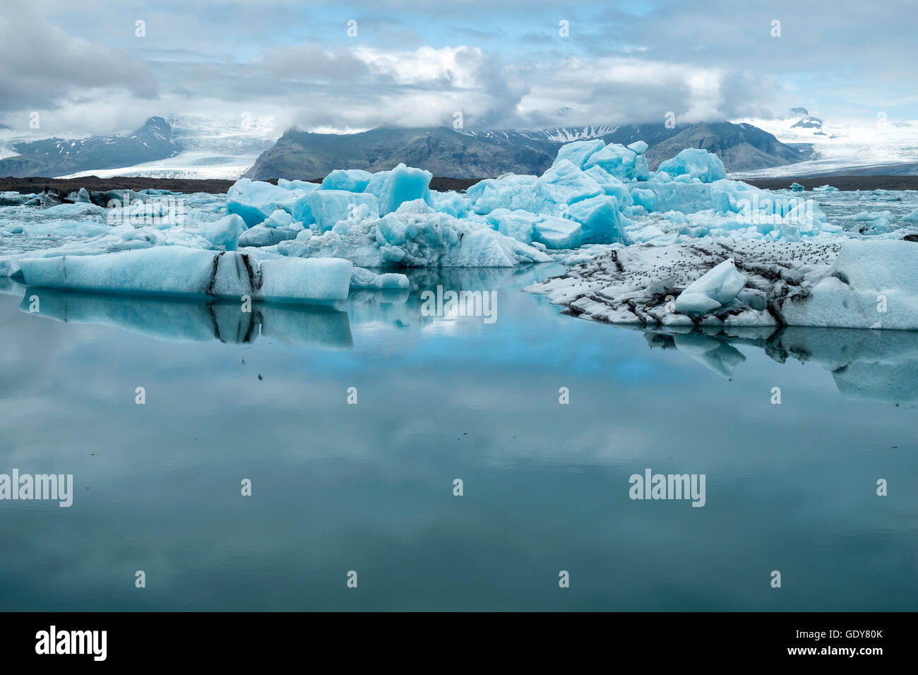 Blue icebergs floating the glacial lagoon in southeast Iceland in ...