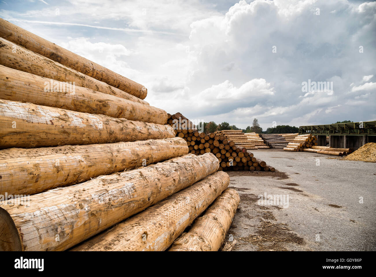 Piles of logs in a timber yard Stock Photo - Alamy