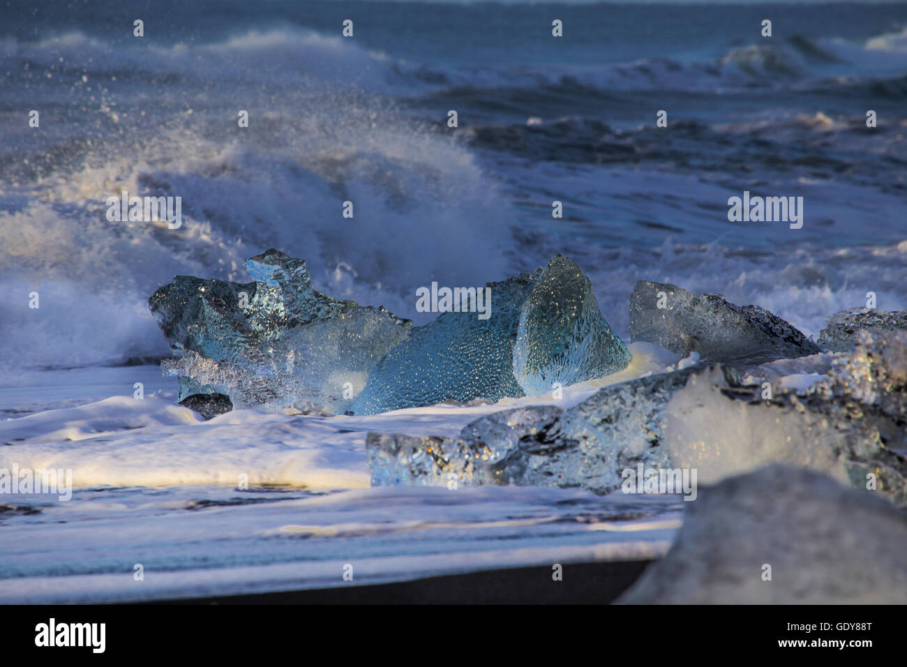 Chunks of blue ice from a melting glacier on a beach in Iceland, close ...