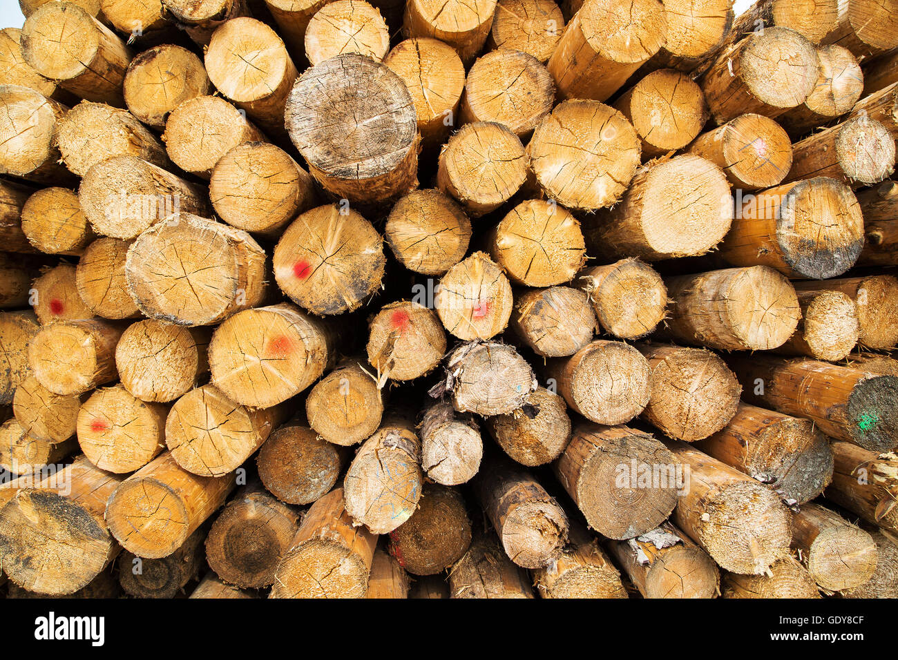cropped shot of a pile of logs great as a background Stock Photo - Alamy