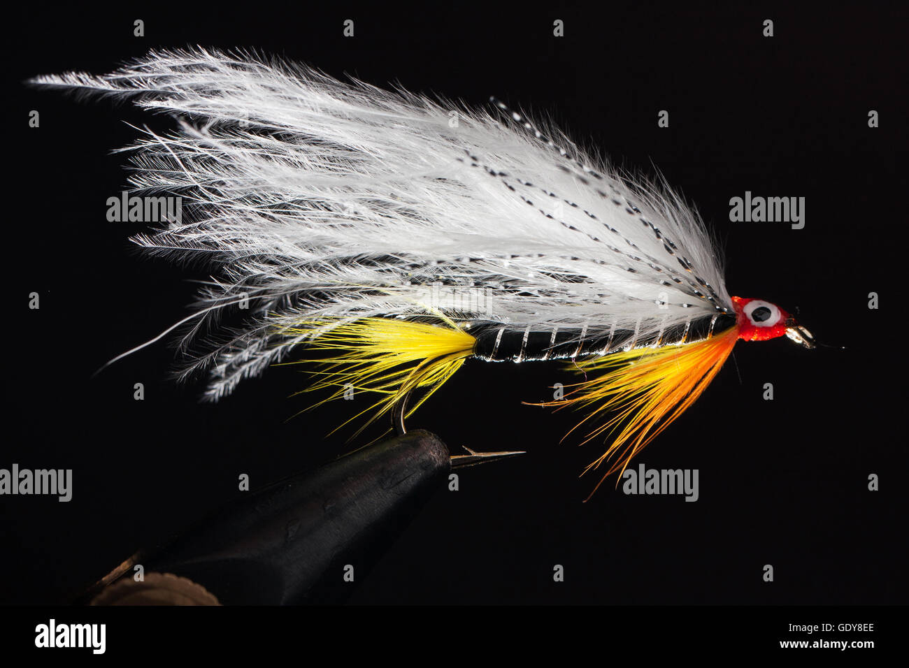 Black ghost fly variation on a fly tying wise isolated on black Stock ...