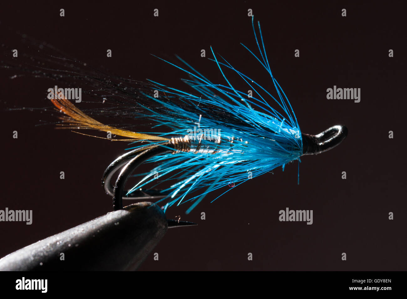 Silver fly hi-res stock photography and images - Alamy
