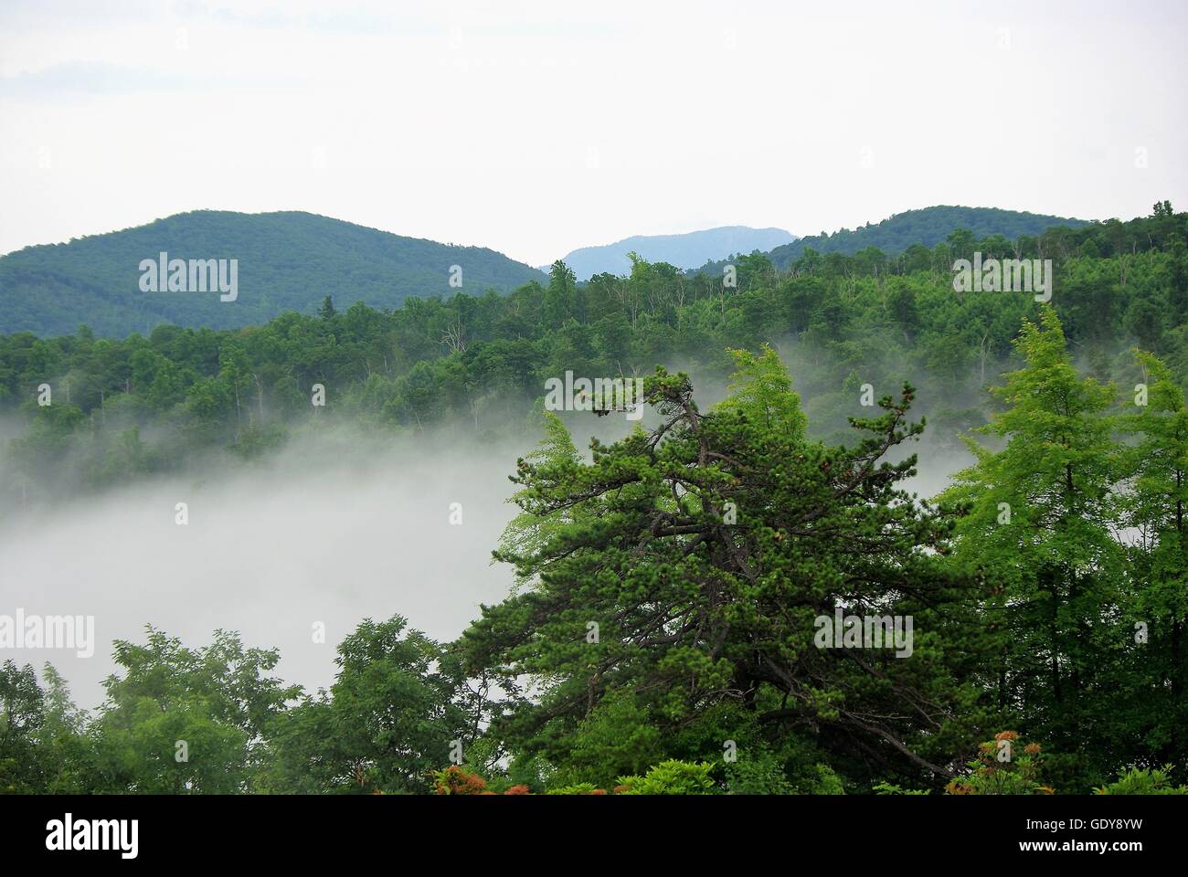 Clouds elevation hi-res stock photography and images - Alamy