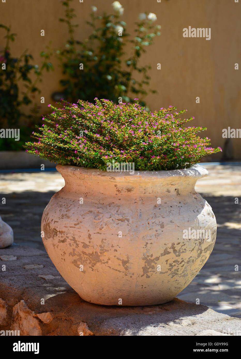 Greek urn hi-res stock photography and images - Alamy