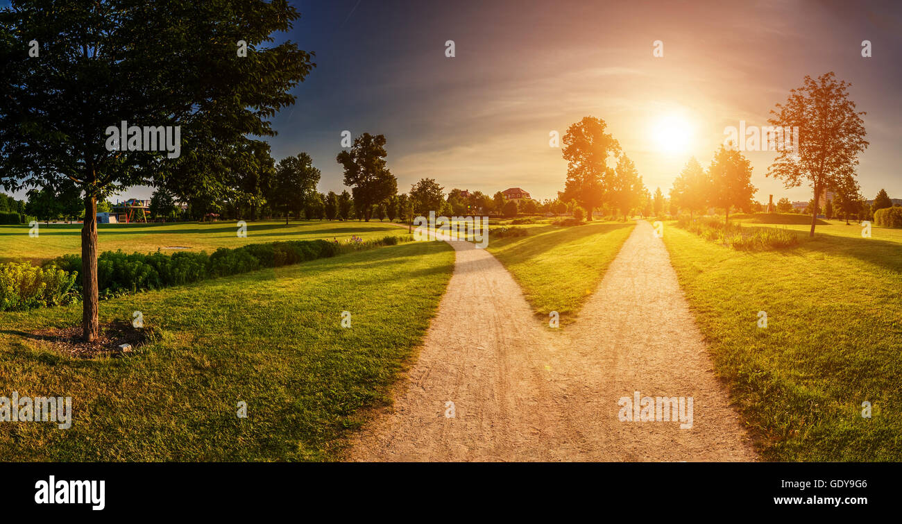 Sandy path in a summer park Stock Photo - Alamy