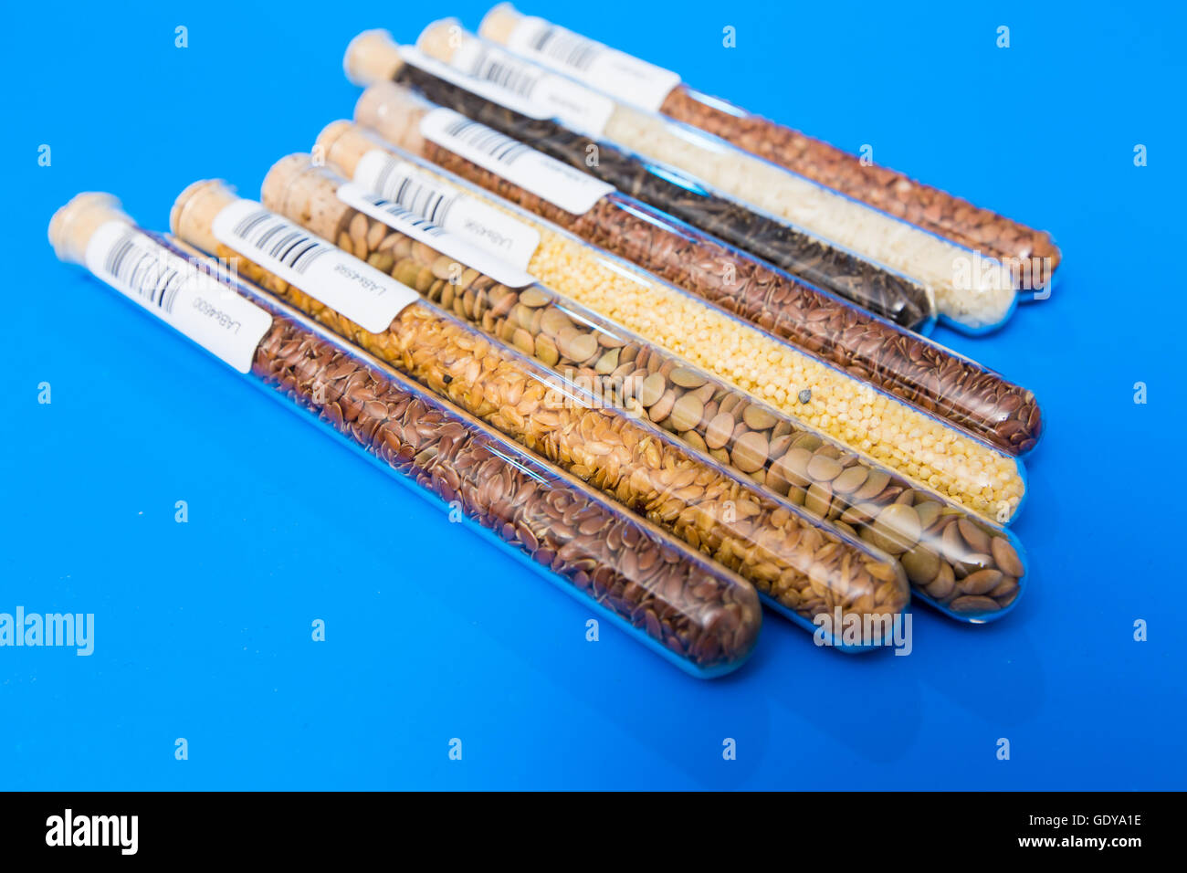 agricultural grains and legumes in the laboratory. Design of the label ...