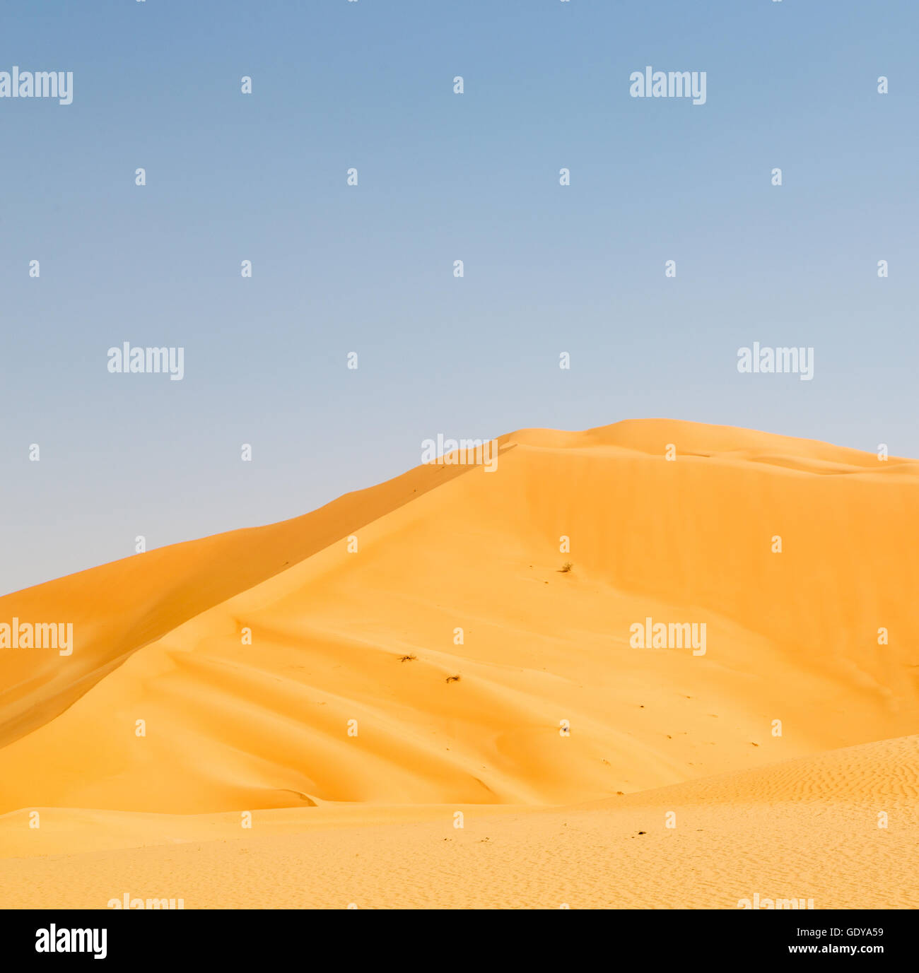 the empty quarter and outdoor sand dune in oman old desert rub al khali ...