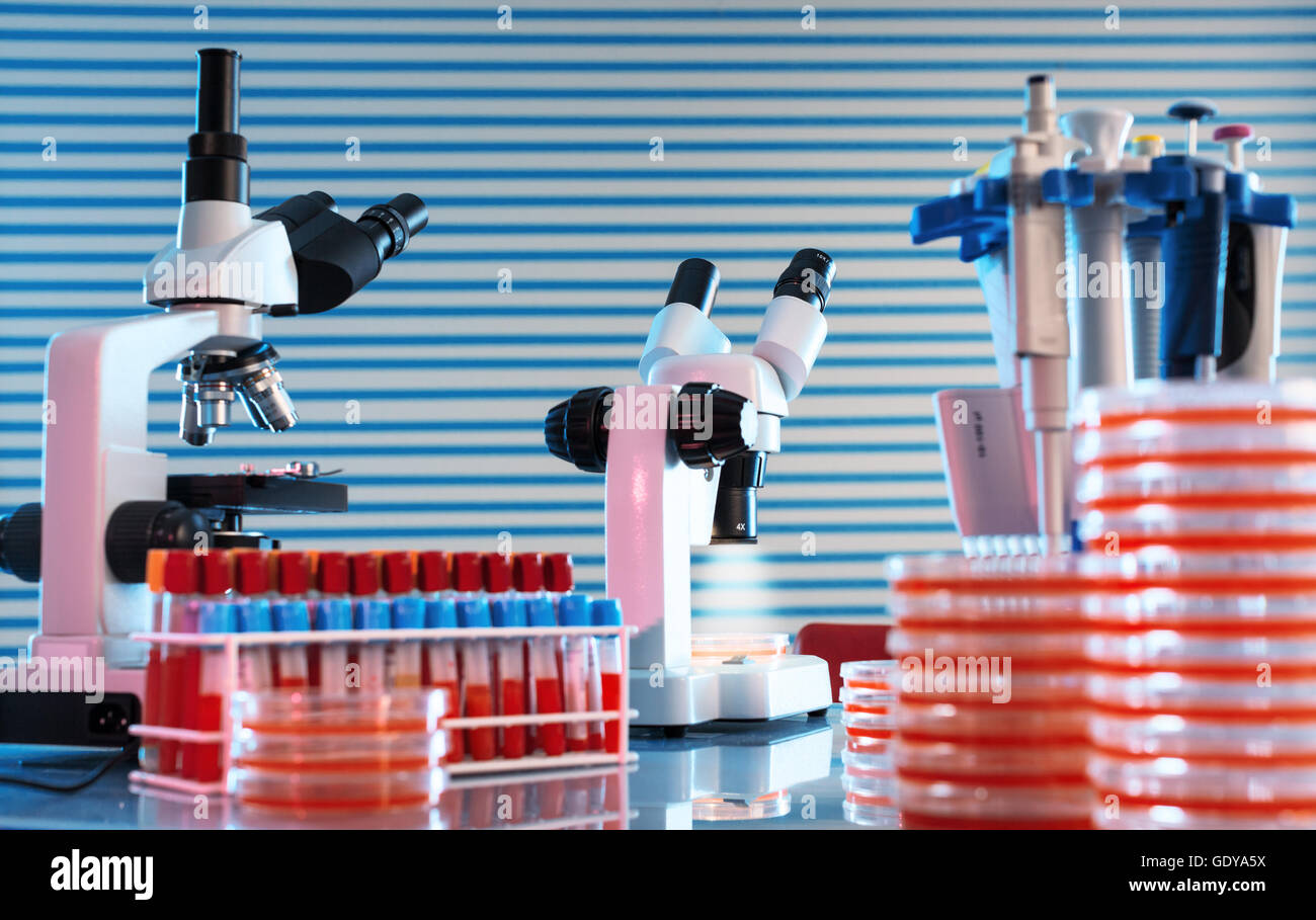 workbench in microbiological laboratory Stock Photo - Alamy
