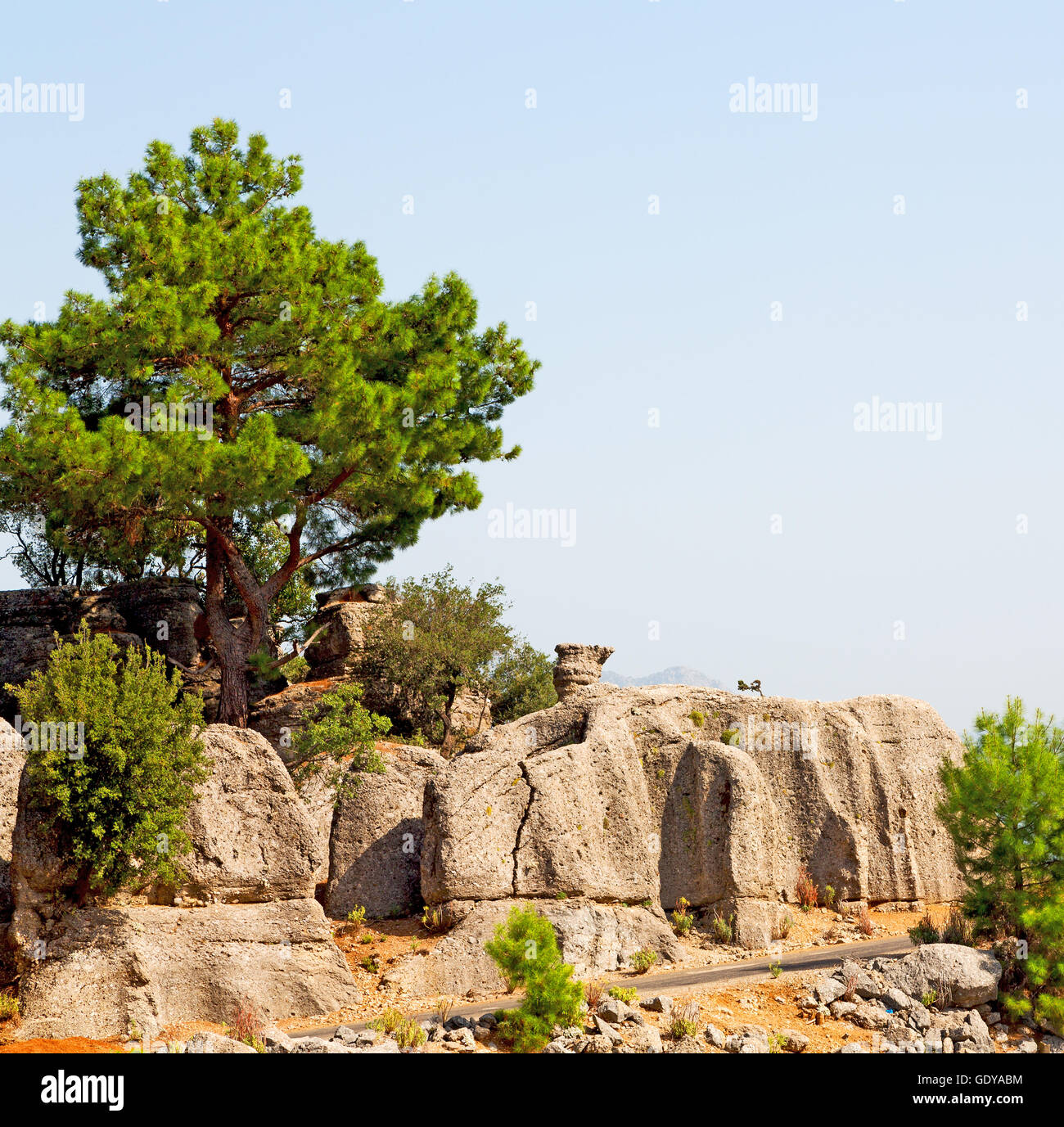 the hill in asia turkey selge old architecture ruins and nature Stock ...